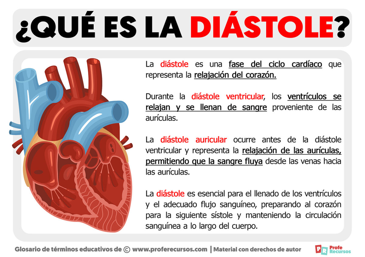 Qué es la Diástole | Definición diástole corazón