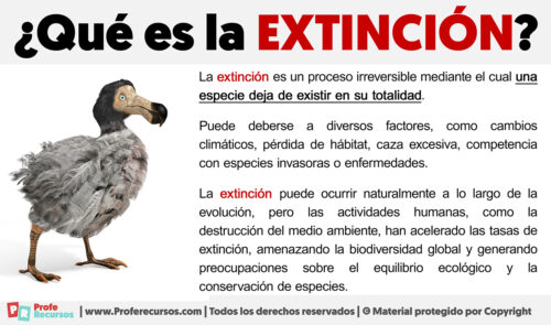 Qué es la Extinción | 5 Ejemplos de especies extintas