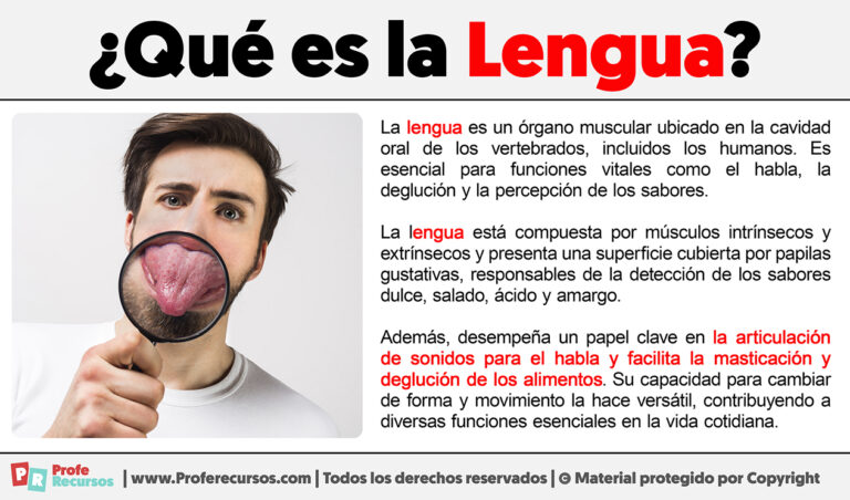 Qué es la Lengua | Definición de Lengua