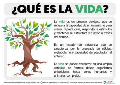 Qué es la Vida | Definición de Vida