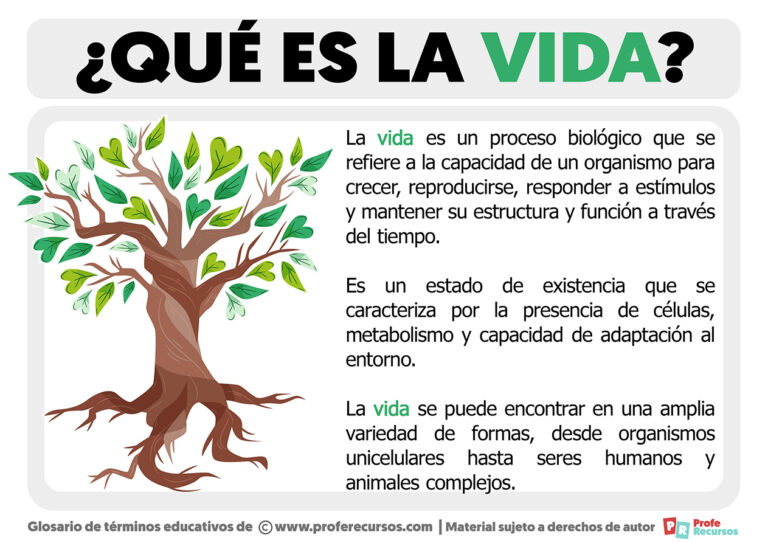 Qué es la Vida | Definición de Vida Qué es la Vida | Definición de Vida