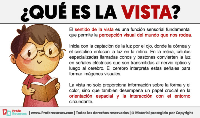 Qué es la Vista | Sentido de la Vista