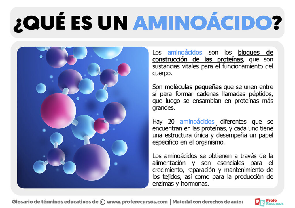 Qué es un Aminoácido | Definición de Aminoácido