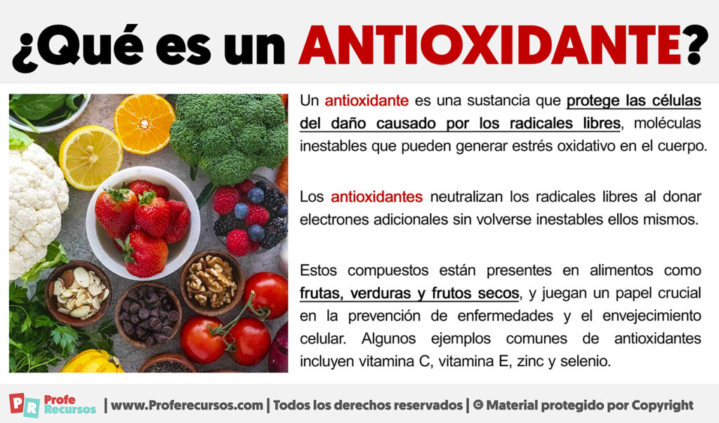 Qué es un Antioxidante | Definición de Antioxidante