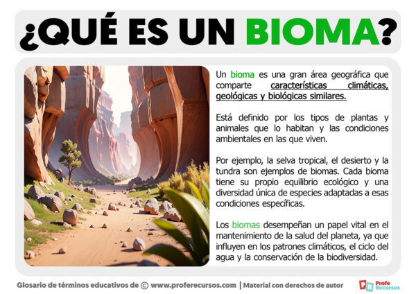 Qué es un Bioma | Definición de Bioma