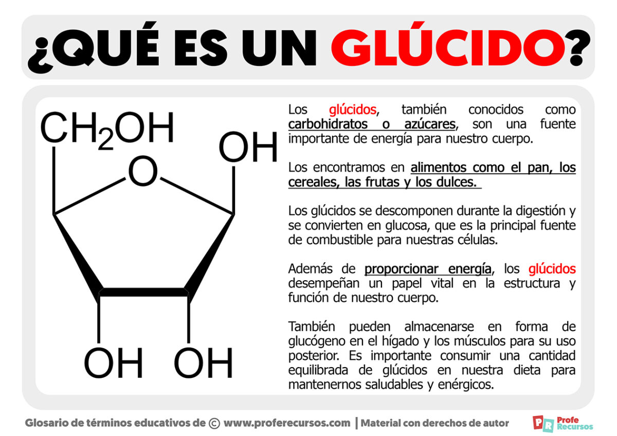 Qué es un Glúcido | Definición de Glúcido