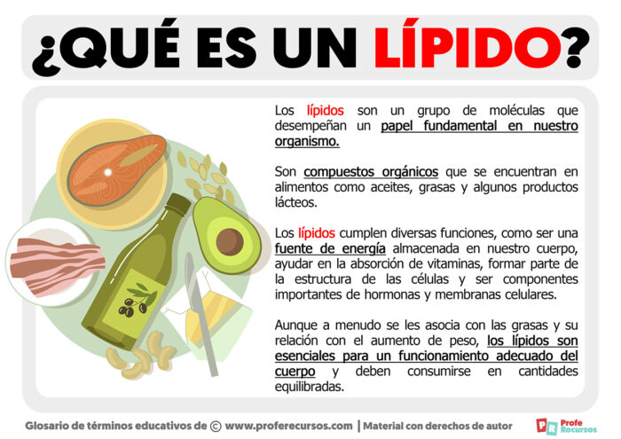 Significado De Lípidos _ Que Tipos De Lipidos Existen – RCAD