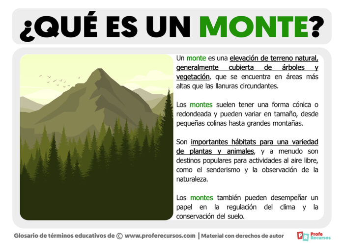 Qué es un Monte | Definición de Monte Qué es un Monte | Definición de Monte