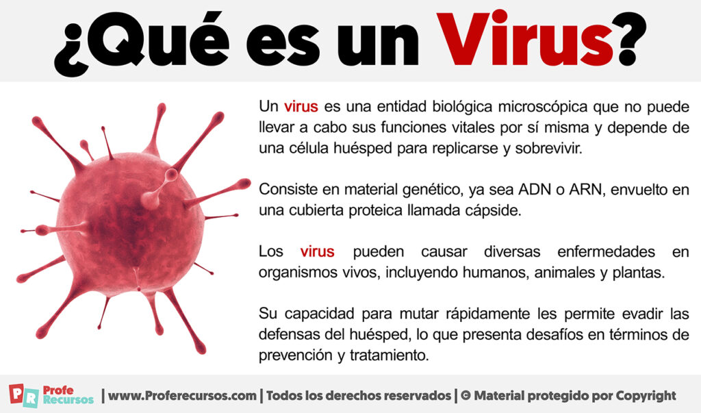 Qué es un Virus | Definición de Virus