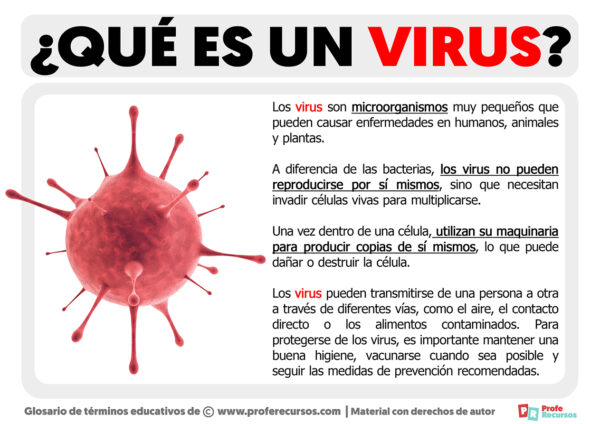 Qué es un Virus | Definición de Virus