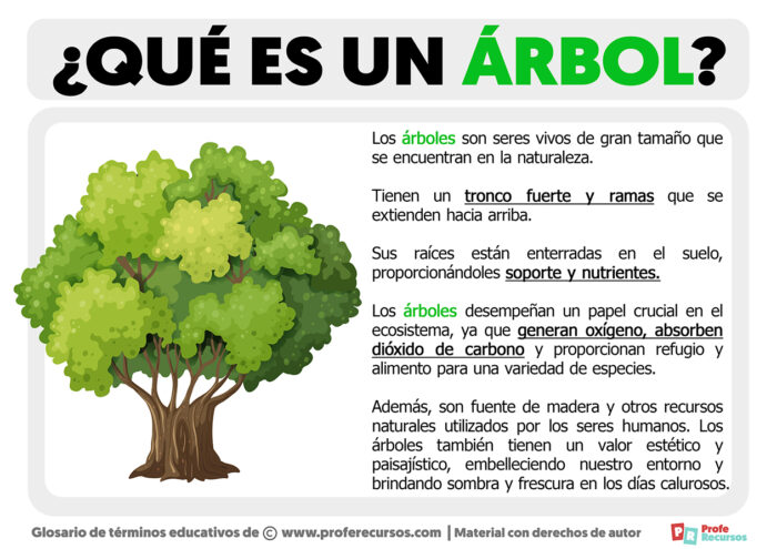 Qué es un Árbol | Definición de Árbol