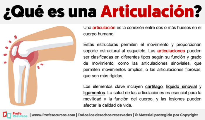 Qué es una Articulación | Definición de Articulación