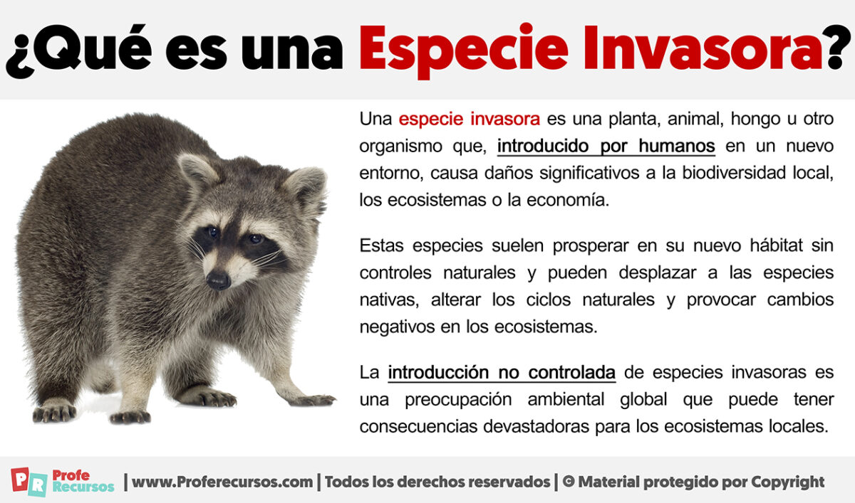 Qué es una Especie Invasora | Definición y 5 Ejemplos
