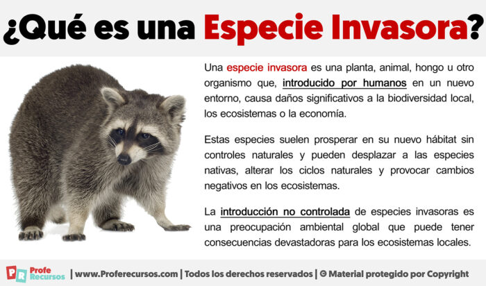 Qué es una Especie Invasora | Definición y 5 Ejemplos