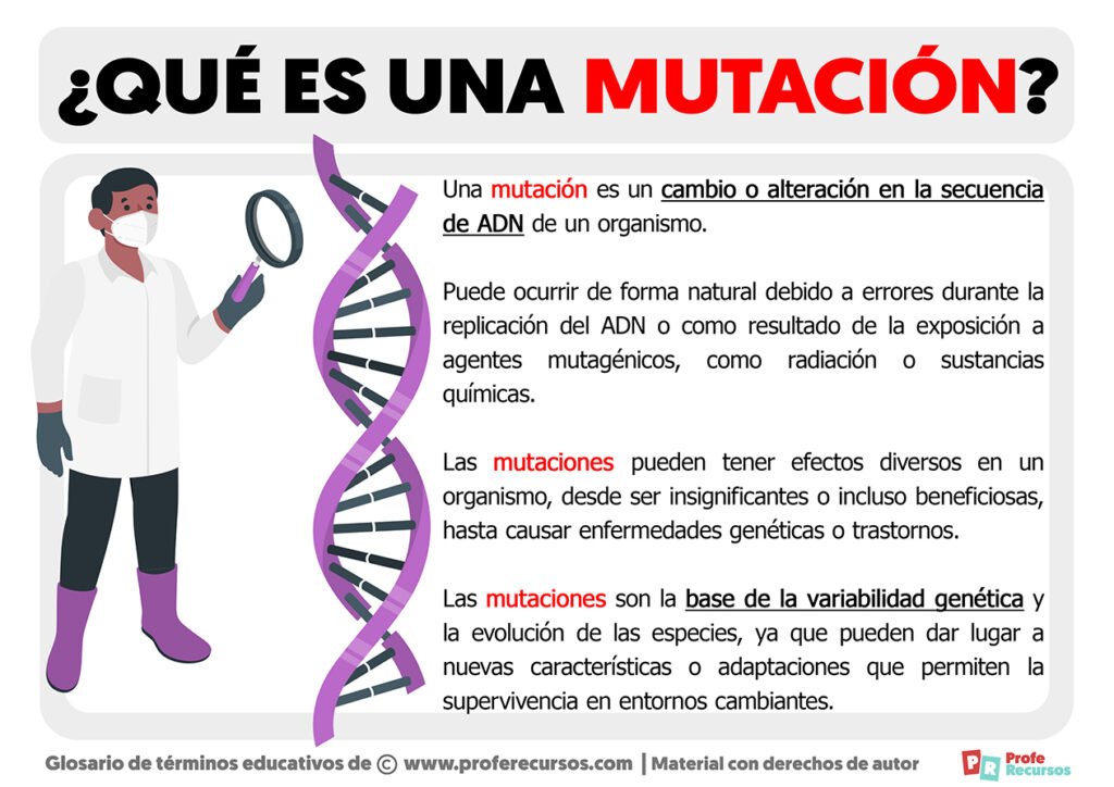 Qué es una Mutación | Definición de Mutación Genética