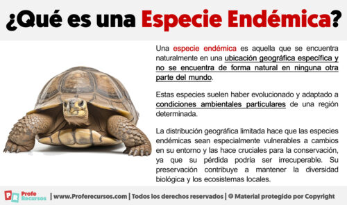 Qué es una Especie Endémica | Con ejemplos