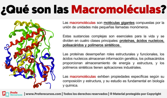 Qué son las Macromoléculas