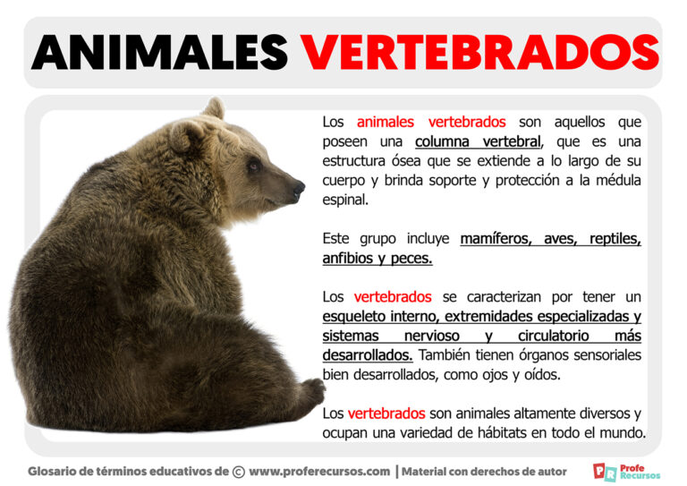 Qué son los Animales Vertebrados