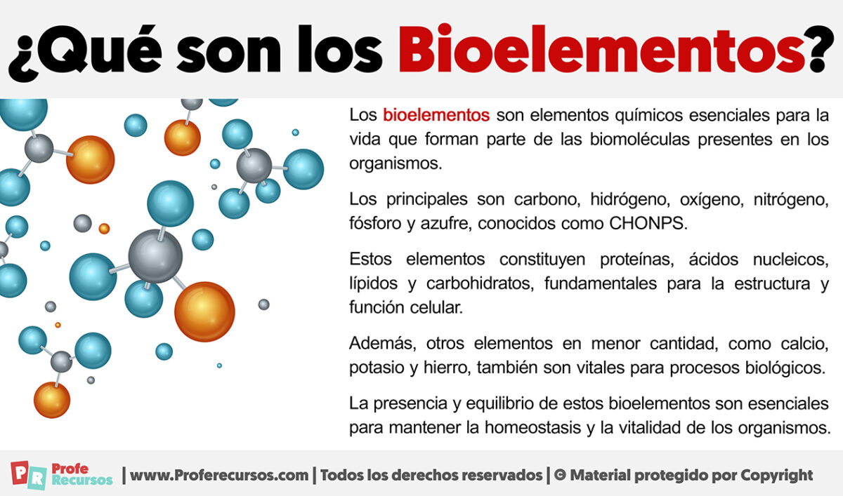 Qué son los Bioelementos