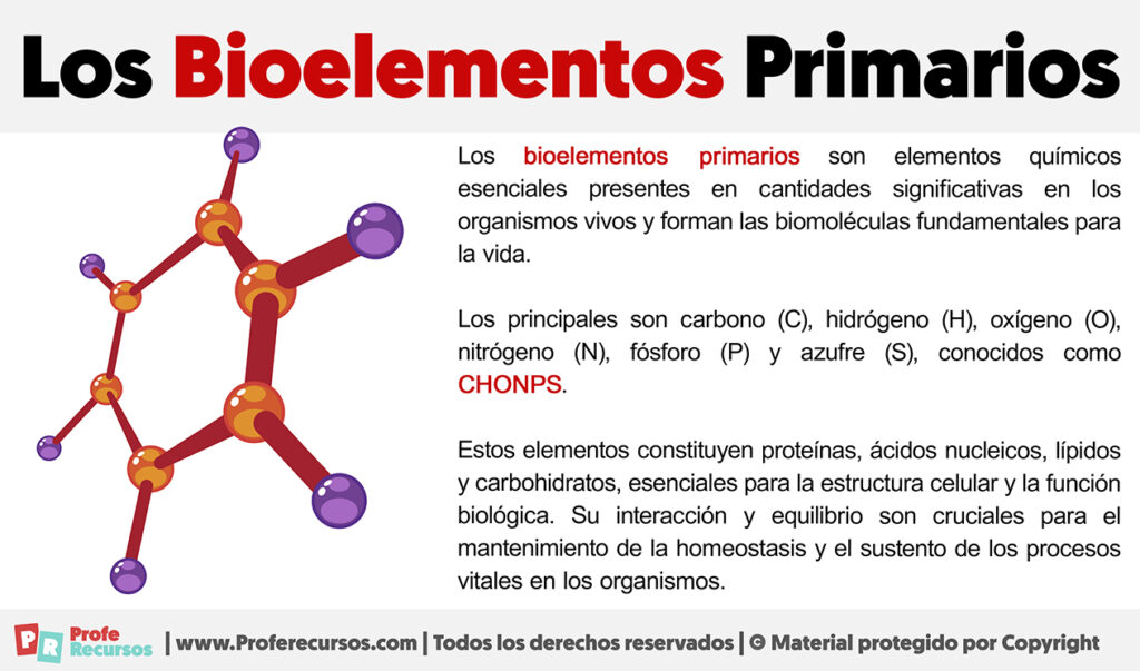 Qué son los Bioelementos Primarios