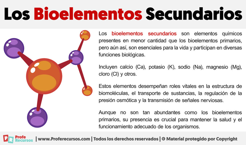 Qué son los Bioelementos Secundarios Qué son los Bioelementos Secundarios