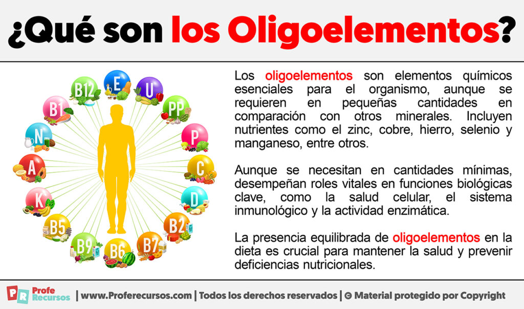 Qué son los Oligoelementos