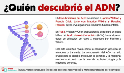 Quién descubrió el ADN