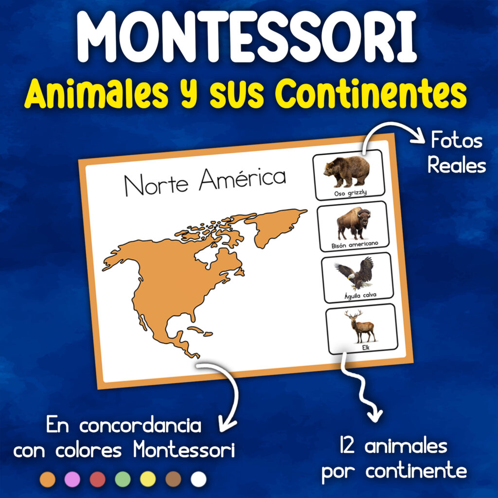 Animales y sus Continentes | Material Montessori
