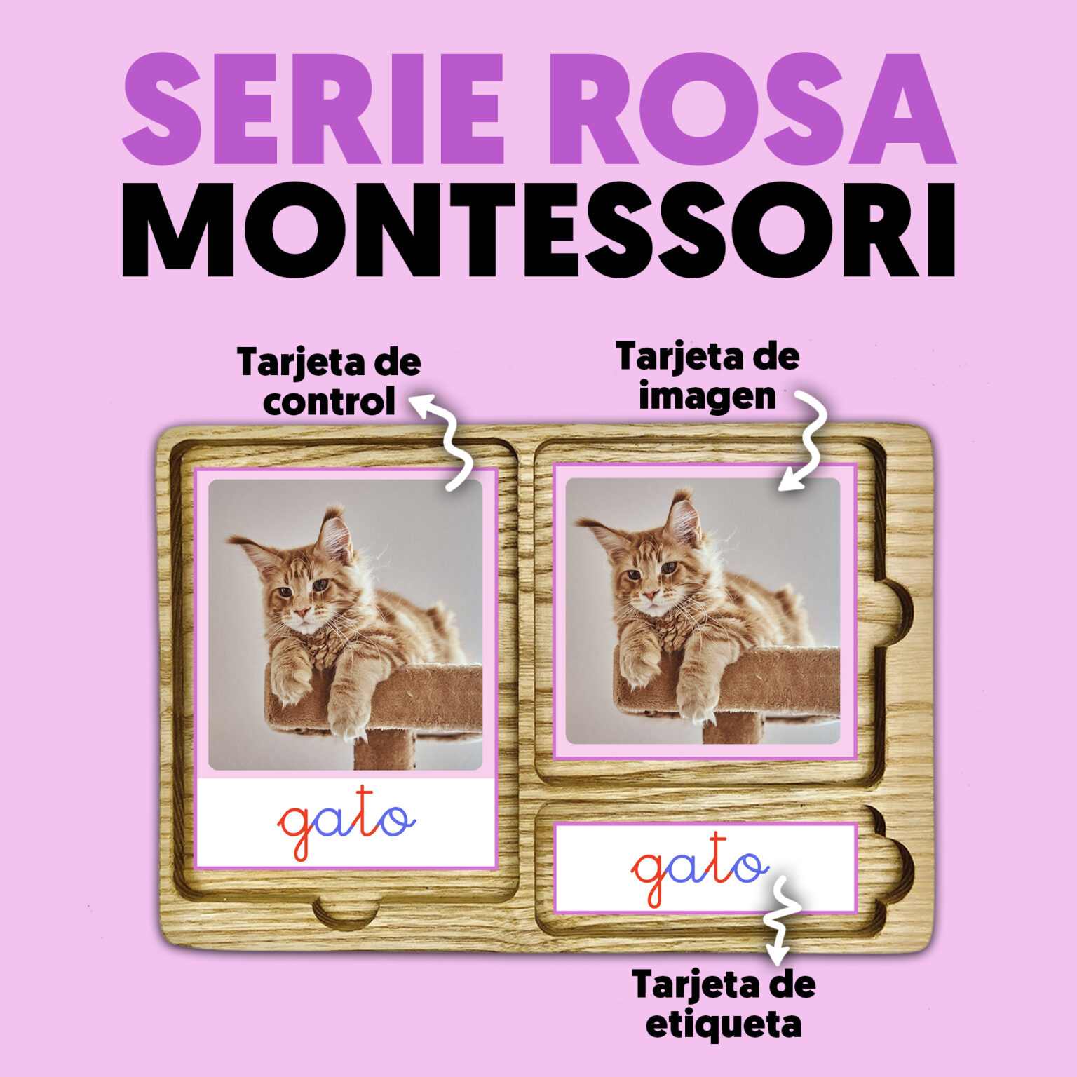 Tarjetas de Lectoescritura | Serie Rosa Montessori