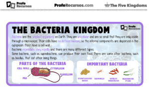 The Five Kingdoms of Living Things Science Activity