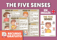 The Five Senses Activity Bundle