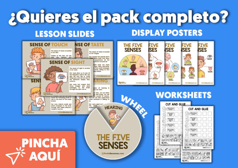 The Five Senses Activity Bundle