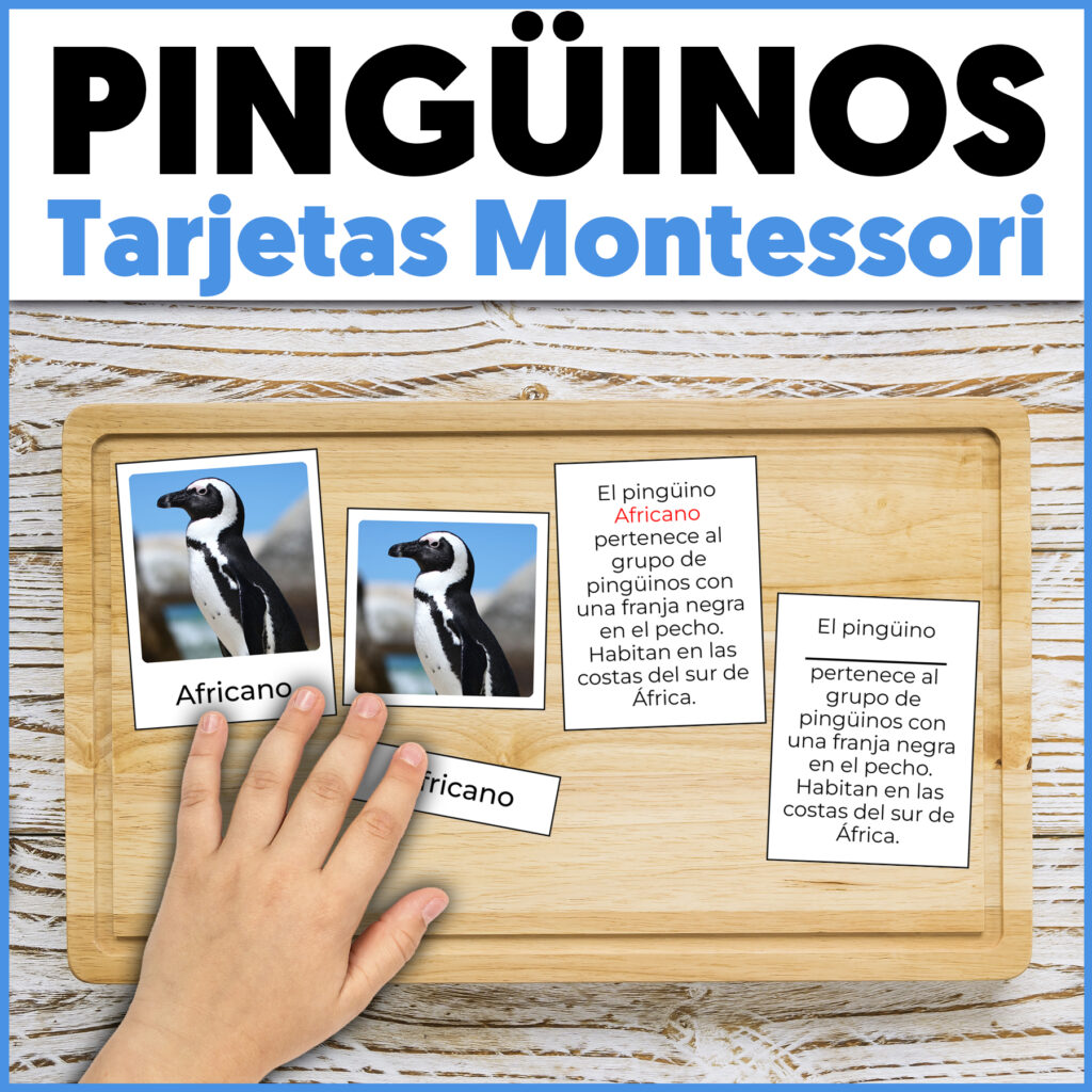 Recursos Educativos Montessori