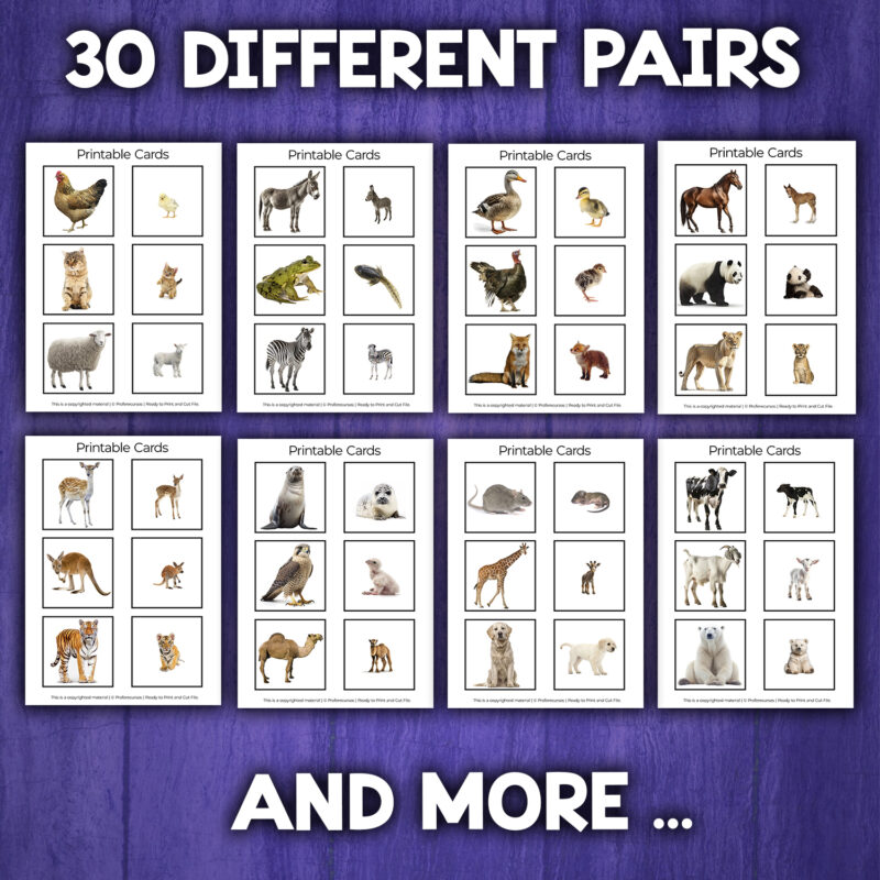 Actividad Grande y Pequeño en Inglés (Big or Small)